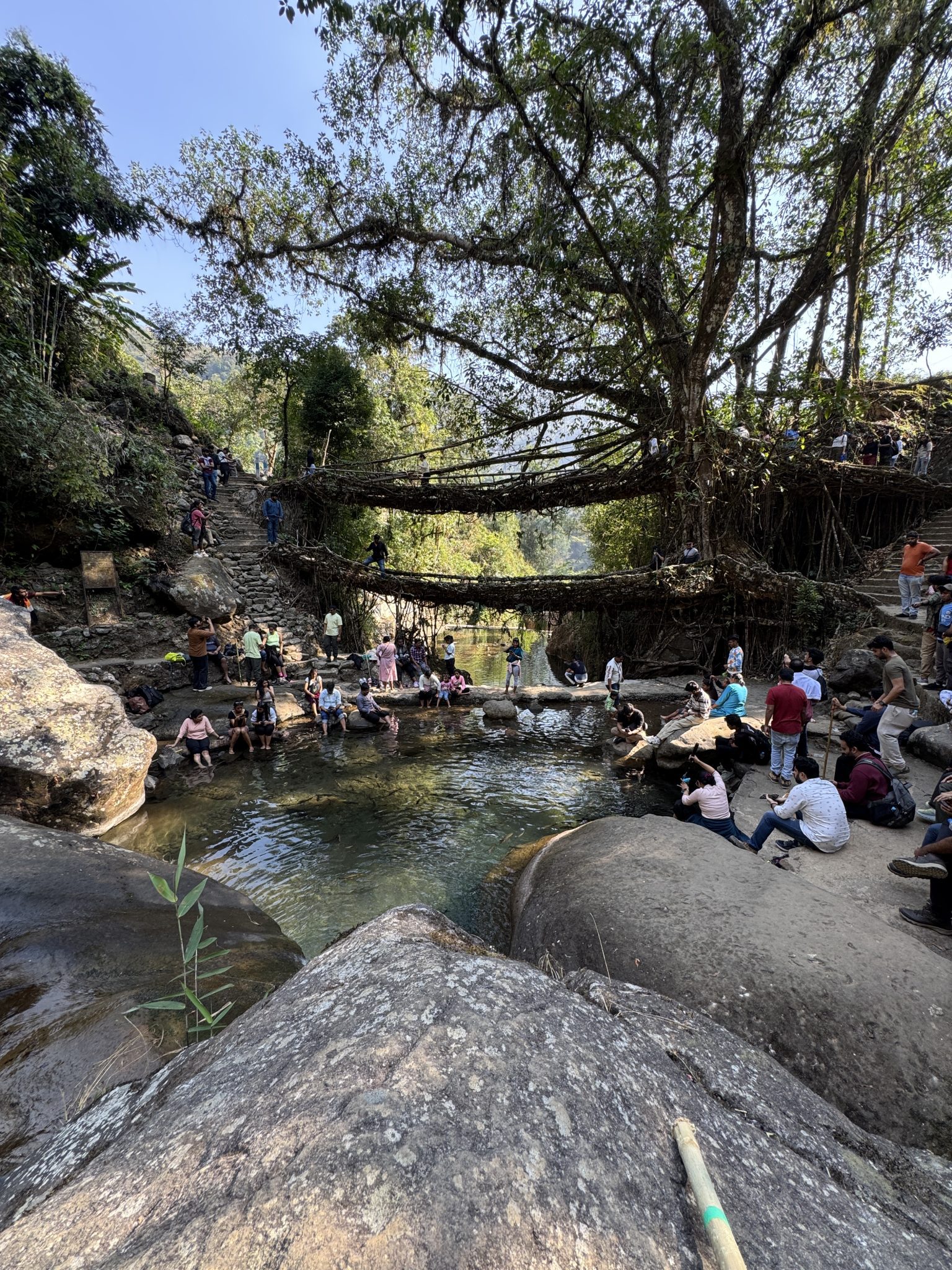 Complete guide to Double Decker living root bridge, Meghalaya ...